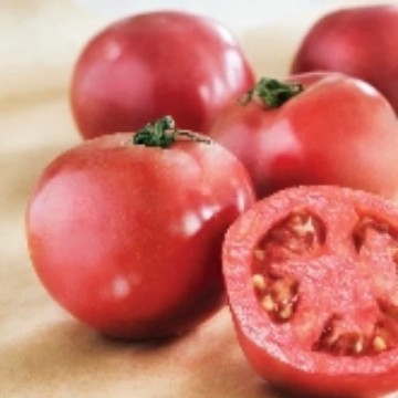 Tomato T. Reimer Seeds