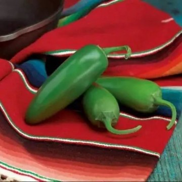 Jalapeno Hot Pepper, Jalapeno Hot Peppers, Jalapeno Hot Pepper Seeds ...