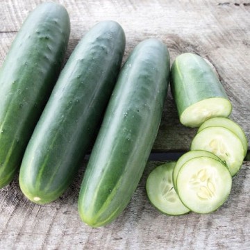 Slicing Cucumber, Slicing Cucumbers, Slicing Cucumber Seeds. Reimer Seeds
