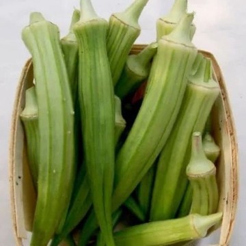 Okra, Okra Seeds. Reimer Seeds