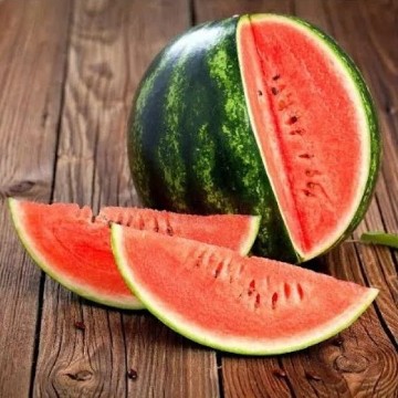 Giant Watermelons, Giant Watermelon Seeds. Reimer Seeds
